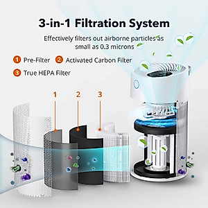 Air Purifier Replacement Filter, 3-in-1 True HEPA Filter, Removes up to 99.95% of Pet Hair, Pollen, Pet Dander, Mold Spores, Odor, Smoke, and Dust, Compatible with Air Purifier AP008