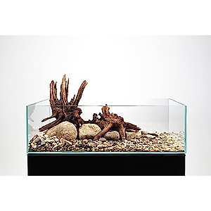 LANDEN Panna Natural Driftwood for Aquarium Decor Freshwater Fish Tank(12-14 inches, 30-35cm) 4pcs Terrariums Vivariums Reptile and Amphibian Enclosures Lizard Bearded Dragon Tortoise Various Shapes