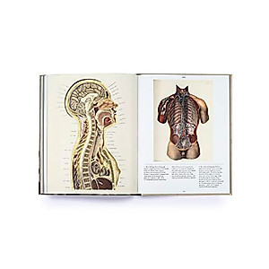 Anatomica: The Exquisite and Unsettling Art of Human Anatomy