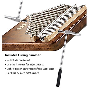 Kalimba Thumb Piano, 21 Keys — Includes Tuning Hammer and Case — For Meditation, ASMR, Sound Therapy and Yoga, 2-YEAR WARRANTY