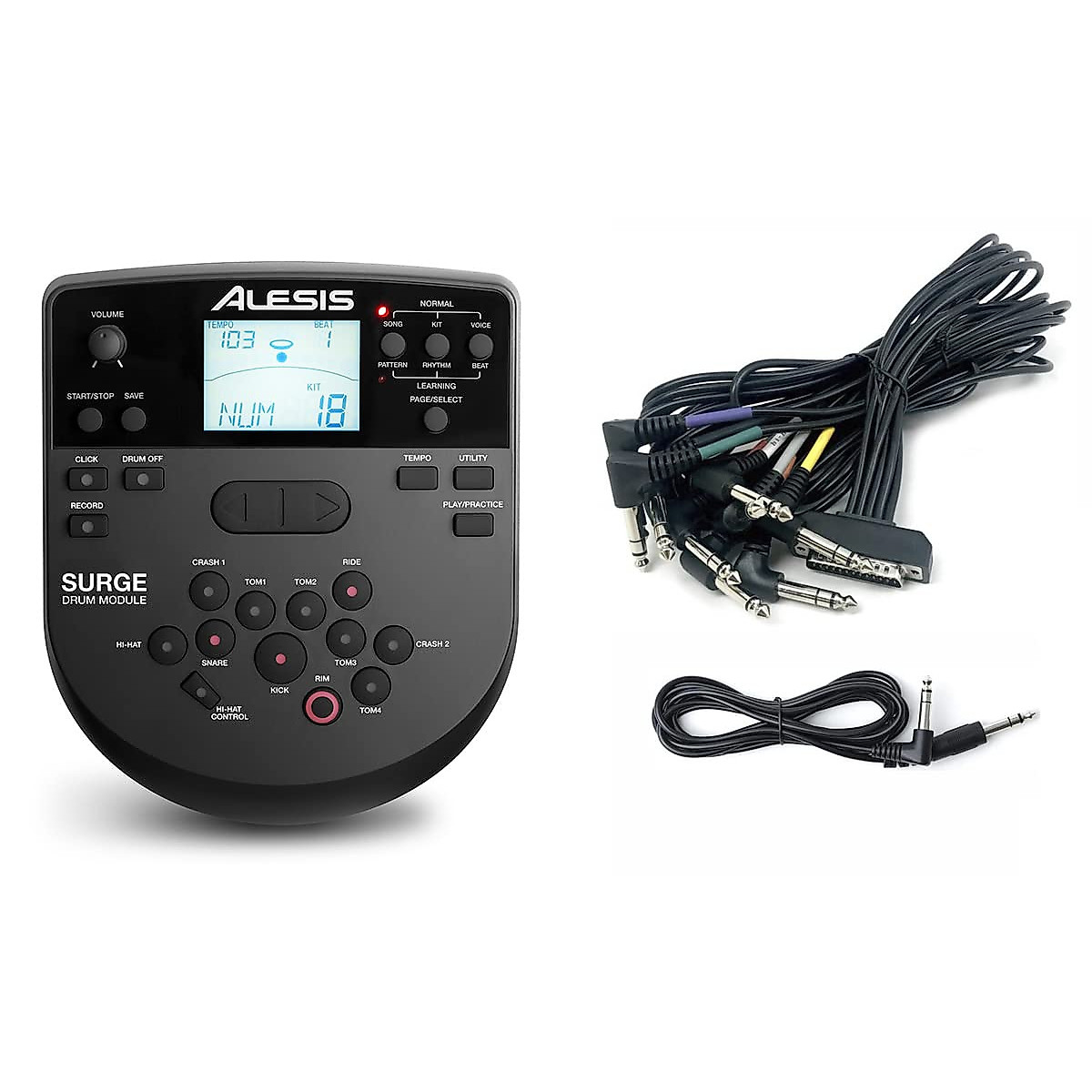 Alesis Surge Drum Module with Cable Snake and Silverline Audio 10ft Auxiliary Cable Bundle