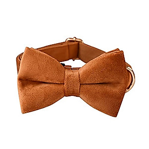 Velvet Dog Collar Personalized with Name Phone Number Engraved, Custom Pet Collars with Metal Buckle(Camel, S)