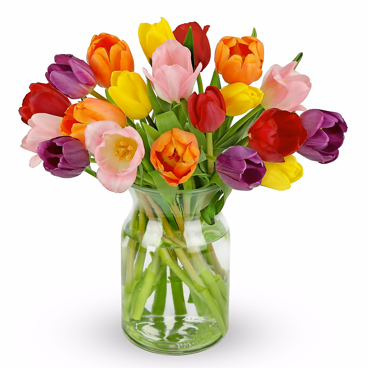 Benchmark Bouquets - 20 Stem Rainbow Tulips (Glass Vase Included) – Fresh Flowers for Delivery - Gift for Easter, Mother’s Day, Birthday, Anniversary, Sympathy, Get Well, Congratulations