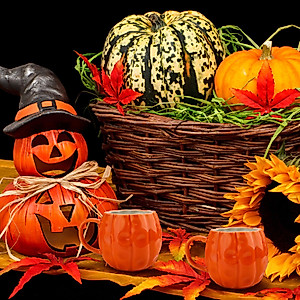 binsakao 2pcs Pumpkin Mugs - 17 oz Large Fall Coffee Mugs - Ceramic Pumpkin Mugs for Cappuccino Coffee Latte Drinkings - Women Men Thanksgiving Gift