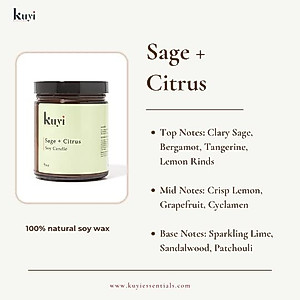 Kuyi Essentials Hand-Poured Premium Scented Aromatherapy Soy Candles for Home, Gifts for Women, 9oz Jar, 70 Hour + Burn Time (Sage & Citrus)