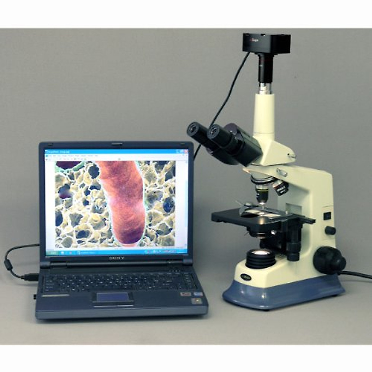 40X-1600X Doctor Vet Lab Compound Microscope + 10MA USB Camera Windows & Mac OS