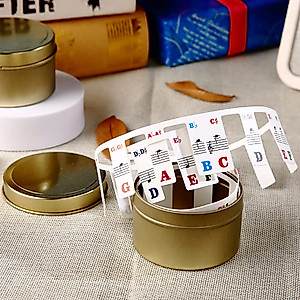 Piano Keyboard Stickers, Full-Size Piano Rake Key Labels Overlay Removable for Beginners Kids (61 Full Keys)