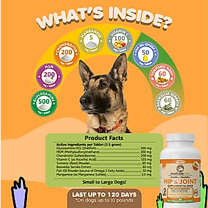 Dog Hip and Joint Supplement with Glucosamine Turmeric for Dogs, Chondroitin, MSM, Boswellia. Tablets for Mobility, Agility, Limping, Pain & Inflammation Relief for Senior Dogs