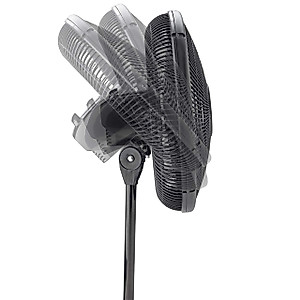 Lasko 2521 16" Oscillating Stand Fan, 16 Inch, Black