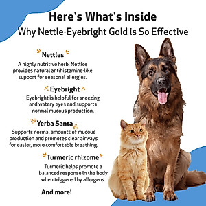 Pet Wellbeing Nettle-Eyebright Gold for Dogs & Cats - Vet-Formulated - Seasonal Sneezing, Itching, Watery Eyes - Natural Herbal Supplement 4 oz (118 ml)