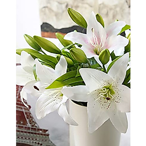 Hananona 8 Pcs Artificial Tiger Lily Real Touch Lily Easter Lily Fake Flowers for Wedding Home Party Easter Decoration Plastic Lily Faux Flowers (White, 8)