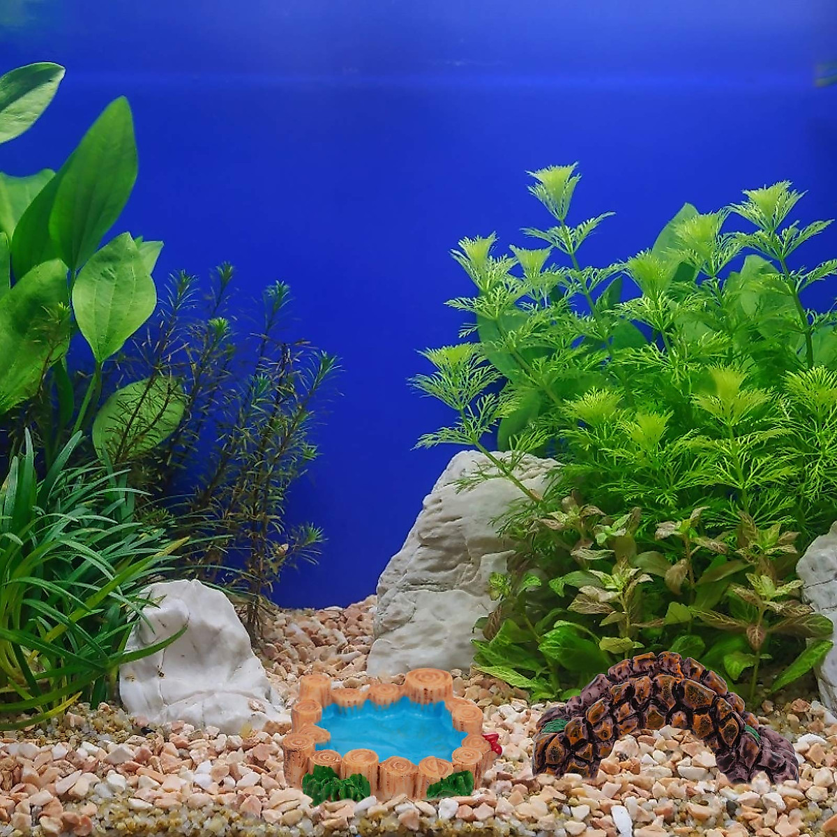 Cabilock 8pcs Micro Landscape Bridge Pond Fairy Garden Decor Scenery Adornment Resin Art Crafts Fairy Garden Accessories Fairy Garden Crafts Resin Ornaments Miniature Landscape Ornament