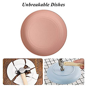 CAMBUY Wheat Straw Plates Lightweight Unbreakable Dinner Dishes Plates Set Dishwasher & Microwave Safe (Small 6 Pack 5.9')