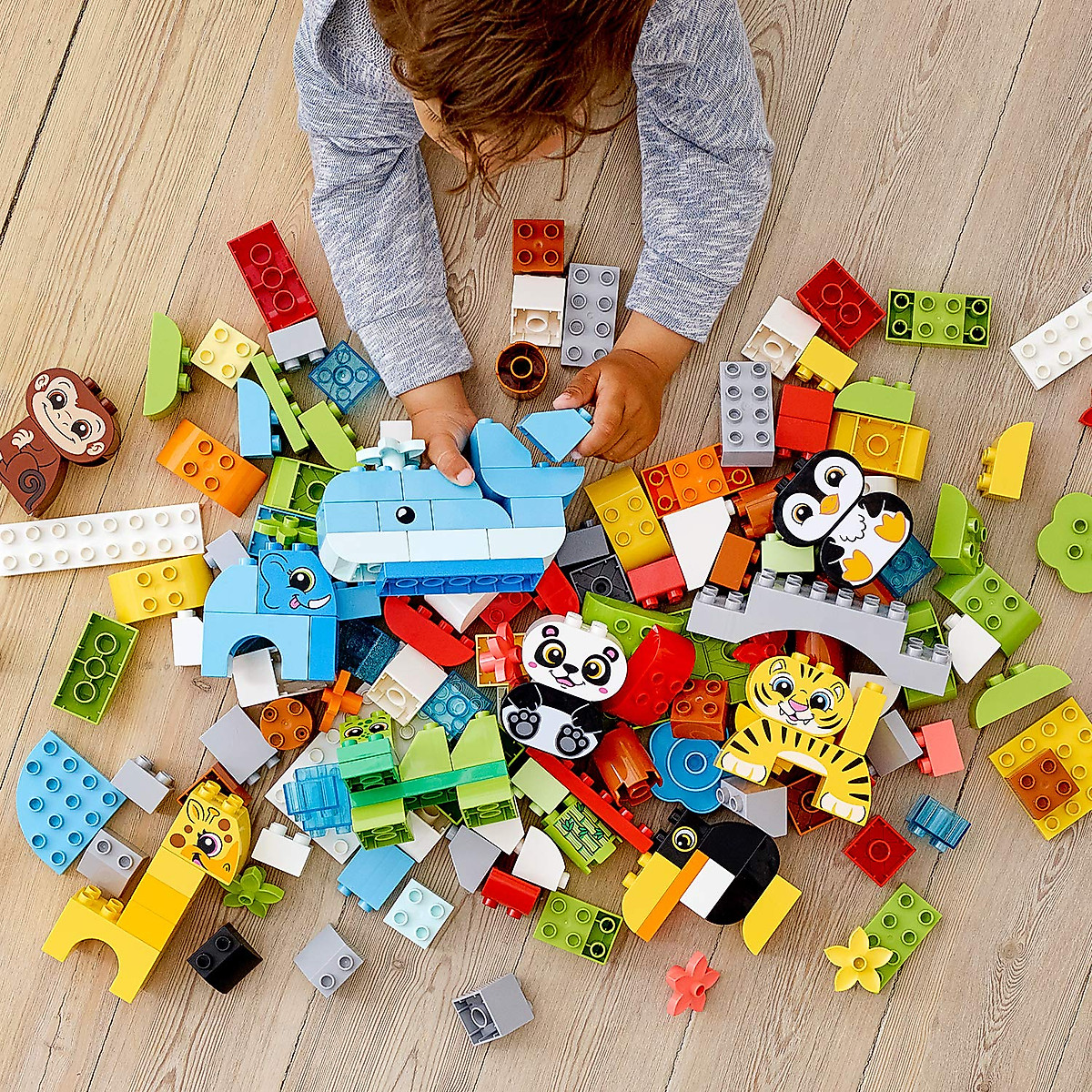 LEGO Duplo Classic 10934 Creative Animals