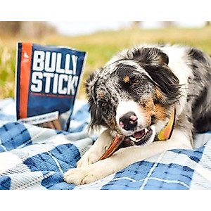 Wild Wolf 6-inch Angus Bully Sticks (8 Ounces) Healthy, All-Natural, Long-Lasting Dog Chew Bones - Natural Scent Dogs Love - Mixed Thickness