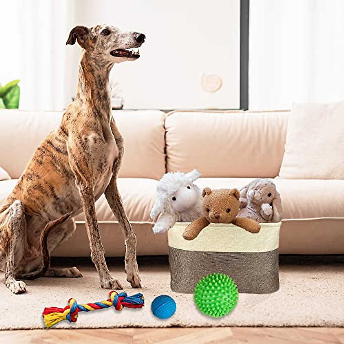 MALIHONG Personalized Dog Toy Box Collapsible Storage Basket Sturdy Fabric Storage Bin with Handles for Organizing Shelf Home Closet, Brown and White Size - 15" x 11" x 8.3"