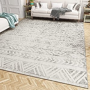 Boho Area Rug 8x10 Feet Modern Area Rug Neutral Carpet for Bedroom Decor, Livingroom Decoration Ideas, Play Room