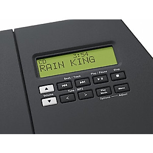 Bose Acoustic Wave Music System II - Graphite Gray