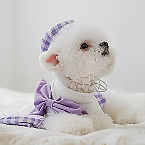 Pet Girls Suit Vintage Pearl Plaid Bow Dog Tutu Dress with Adjustable Hat Doggie Sweatshirt Puppy Girl Funny Costume Spring Dog Cat Outfits Apparel