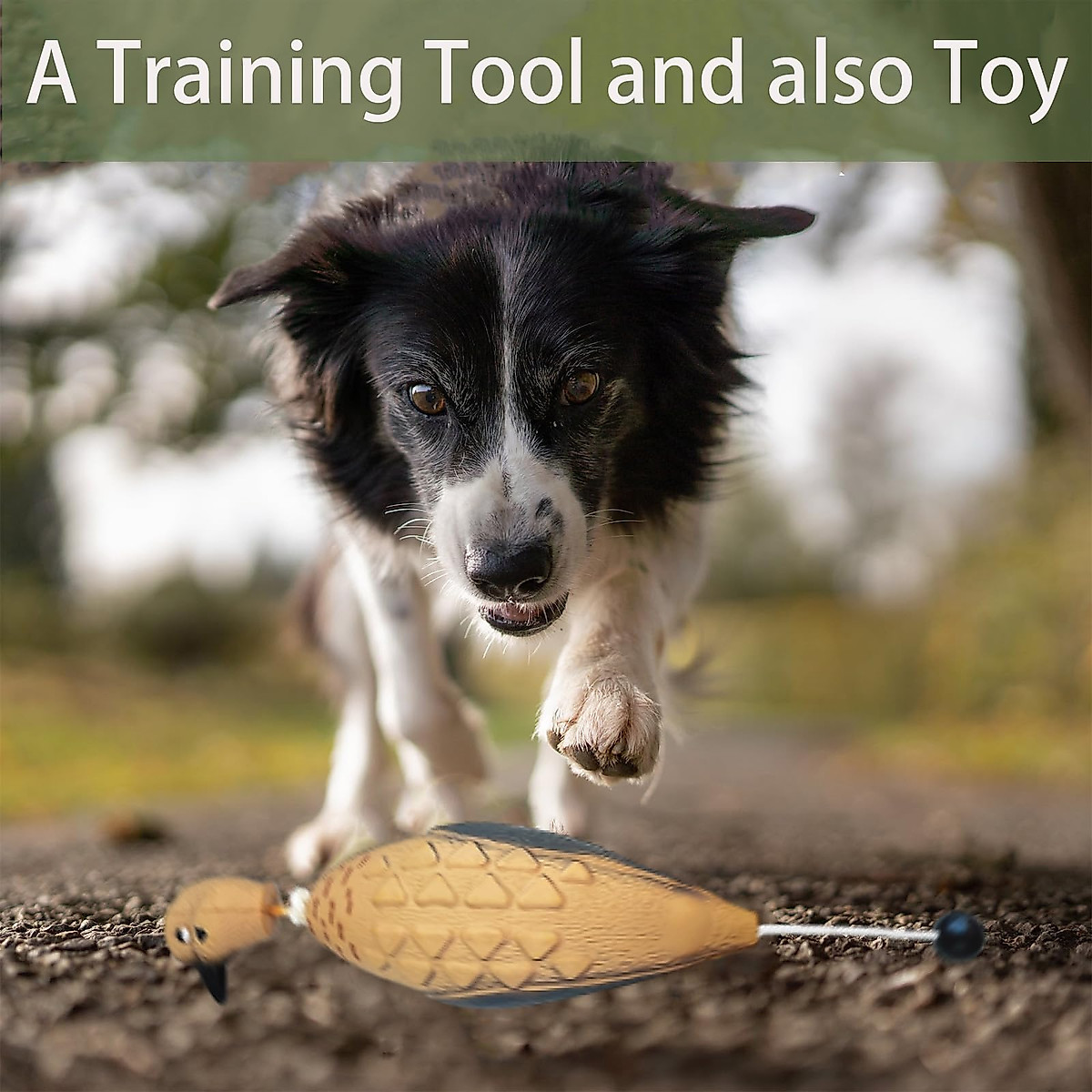 LECPECON Dove Dog Training Dummy Bumper for Hunting Dog Dummy Retriever Skills