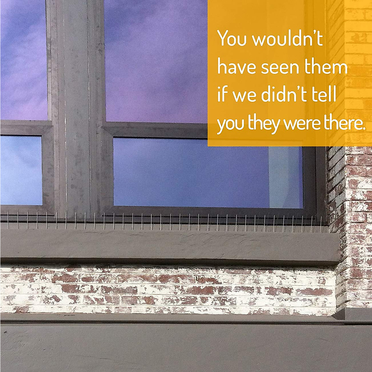 Bird Barrier Dura-Spike Stainless Steel Bird Spikes | Metal Pin Strips for Ledge, Roof, Pipe - Adhesive Included - Xtra Wide (8 in) 10 Ft. Length