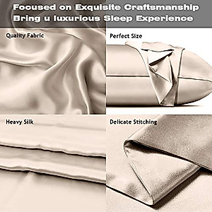 Asmork 100% Mulberry Silk Pillowcase for Hair and Skin, Both Side 19 Momme Real Silk, Hidden Zipper Washable Pure Silk Bed Pillowcase Covers, Envelope Gift Box,1PC (Beige, Standard 20''×26'')