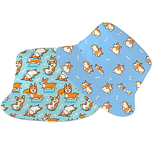 Corgi Gifts for Corgi Lovers Bucket Hat for Women Men Unisex Sun Cap Packable Outdoor Fisherman Hat Headwear