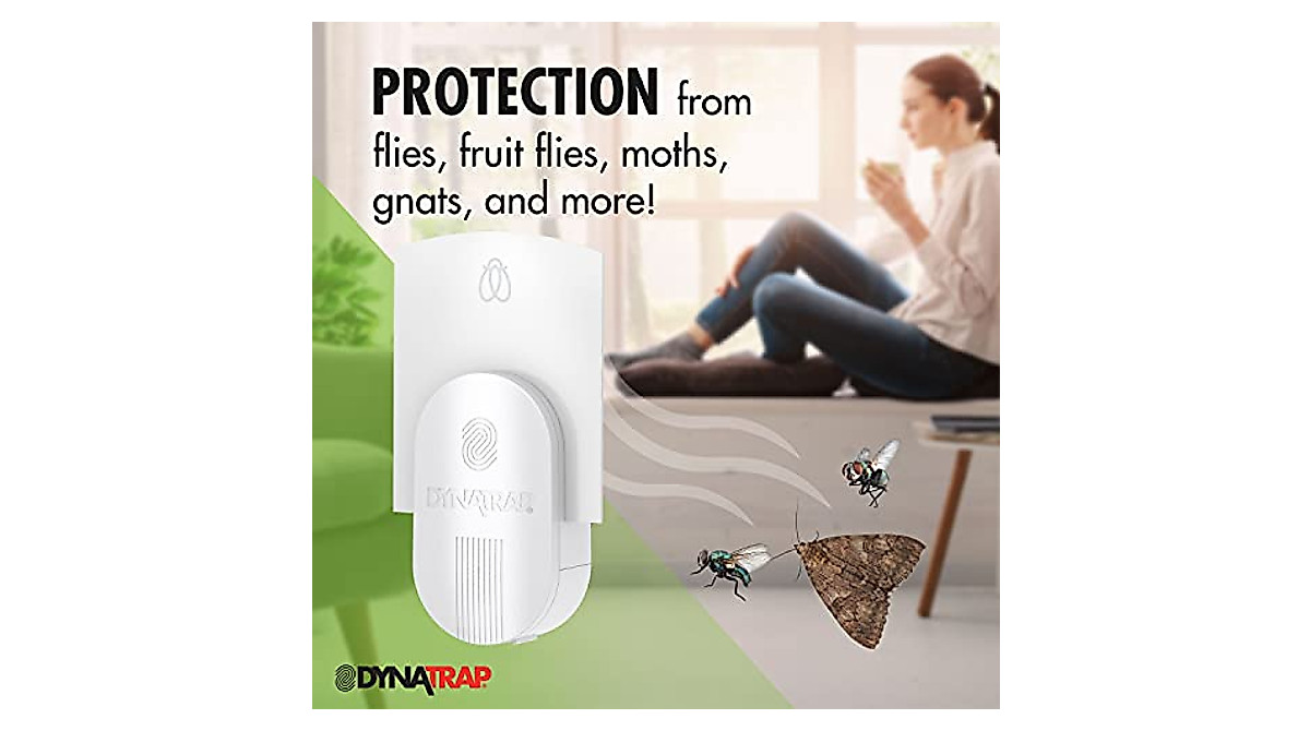 DynaTrap DT3005W-DS3: Discreet Insect Trap 3-Pack