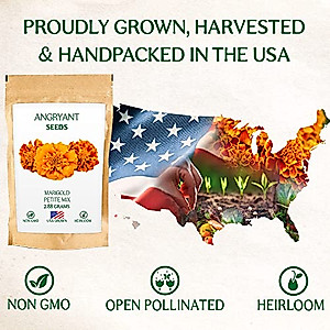 Marigold Petite Mix Seeds - 999+ Heirloom Flower Seeds for Planting Indoors and Outdoors in Your Home Garden - Non GMO, USA Grown - Annual, Open Pollinated Wildflower Seeds Bulk for Companion Planting