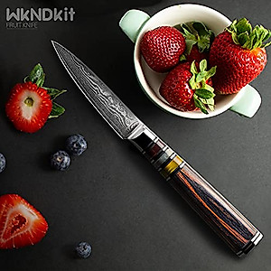 WKNDKIT Damascus VG-10 Stainless Steel Small 3.5 inch Paring knife japanese Kitchen knife with wood Handle, Super Sharp, Fancy Fruit and vegetable Knife