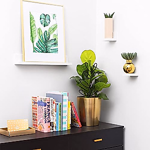 Garden Trellis for Climbing Plant Iron Pot Trellis Leaf Shape 2 Packs 12’’ Black Coated Wire Indoor Houseplant Home Plant Tool Plant Lover Gifts Ideas