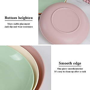 Evanda Plastic Plates Set of 8 Pieces, Dinner Plates 9.5 inch Unbreakable Reusable Dishes for All Purpose and All Age, Microwave Safe BPA Free Dishwasher Safe (Mutil Color)