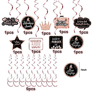 Rose Gold Farewell Party Decorations Supplies Kit, We Will Miss You Decorations, Going Away Party Decorations, Will Miss You Banner, Great for Retirement Farewell Going Away Job Change Party