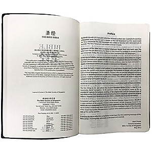 Bilingual English Chinese Holy Bible / English Standard Version - Revised Chinese Union Version, Simplified Chinese / ESV/RCUV / Blue Pearl Vinyl with Golden Edges, Maps, Large Chinese Characters
