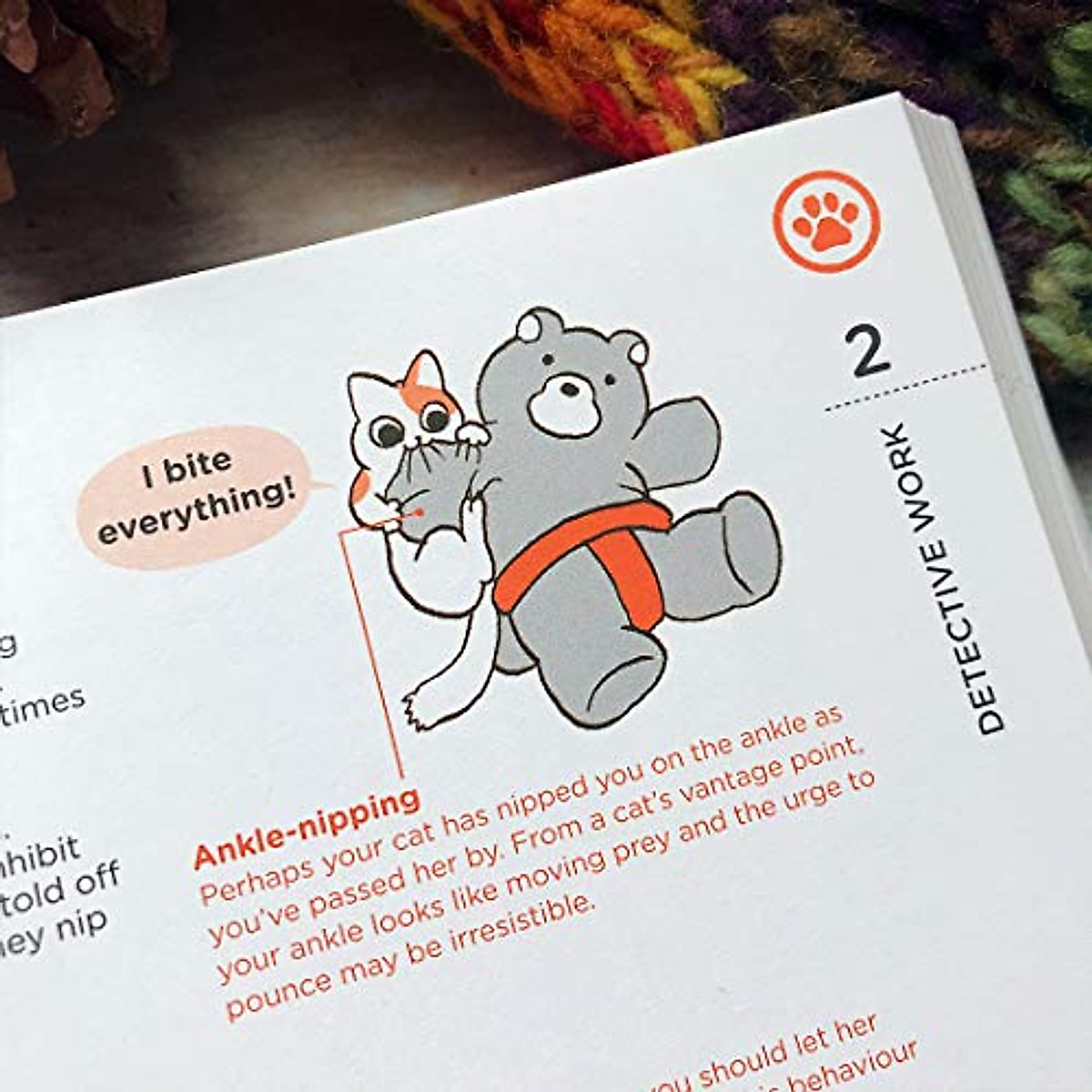 What Cats Want: An illustrated guide for truly understanding your cat