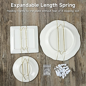 Fasunry 10 Pack Plate Hangers, 8 Inch Wall Plate Hangers and 12 Pack Wall Hooks, Compatible 7.5 to 8.5 Inch Decorative Plates, Antique China, Antique Plates and Arts