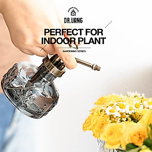 DR.UANG Plant Mister Spray Bottle for Plants Glass Indoor Plant Spritzer Mister Bottle Plant Gifts (Brown 180ml 6 inch)