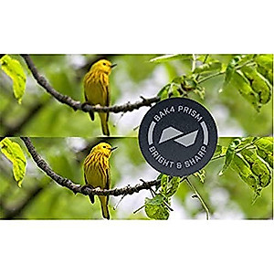 Bushnell H2O 10x42mm Binoculars, Waterproof/Fogproof Roof Prism Binoculars for Boating amd Travel