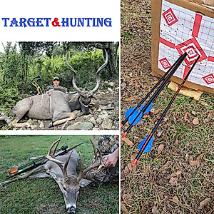 QunYing Archery Carbon Arrow 28 29 30 inch 300 340 350 400 Spine Practice Hunting Arrows for Compound Recurve Bow 12PCS-29 400 Spine