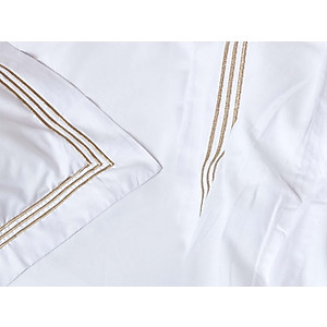 Duvet Cover Set Queen 600 TC Luxury Soft Brushed 3pcs with Elegant 3-Line Embroidery 1Duvet Cover & 2Pillow Sham with Zipper Closure, for All Seasons Taupe Solid by Americancomfy