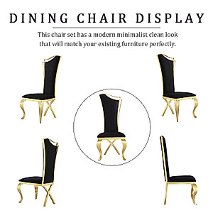 ACEDÉCOR Dining Room Chairs, Black Velvet Upholstered Dining Chairs, Modern Dining Chairs with Gold Legs, Streamlined Back and Mirror X-Shaped Metal Legs, Black high-Back Dining Chairs Set of 20