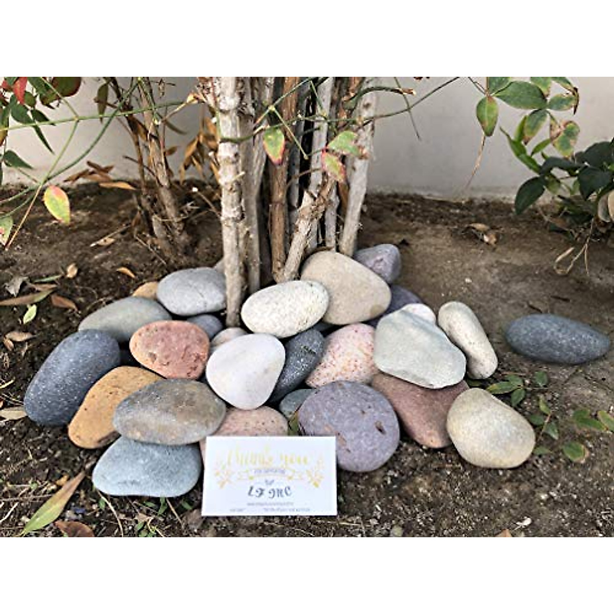 LF Inc. 50 Lb. Premium Large Mixed Mexican Stone Beach Pebbles 3-5 inches, Decor, Garden, Landscape, Pathways, Backyard, Rock Pebbles