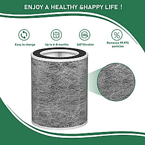Carmerny HP202 True HEPA Filter Replacement Compatible with Shark HP201 HP202 HP301 HP302 UA205 AP1000 HC501 HC502 Air Cleaner Purifier MAX, Compare Part # HE2FKBAS, HE2FKBASMB, 2-Pack