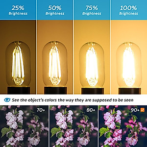 T45/T14 Dimmable E26 Led Tube Edison Light Bulb ,1W(10W Equivalent) ,AC120V Warm White 2200K 6W 600LM Amber Type T Light Bulbs for Piano Light Bulb,Curio Cabinet, Lamp,Celling Fan,Sconce,Pack of 2