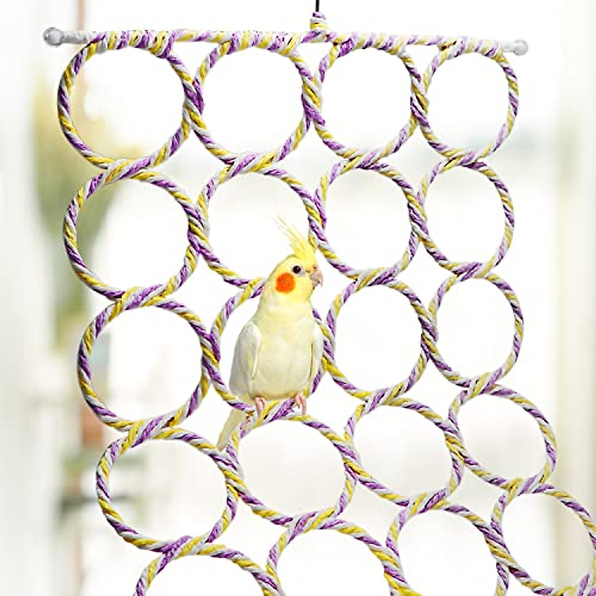 Bird Rope Climbing Net Parrot Swing Hanging Toy for Parakeet Cockatiel Cockatoo Conure African Grey Macaw (Random Color)