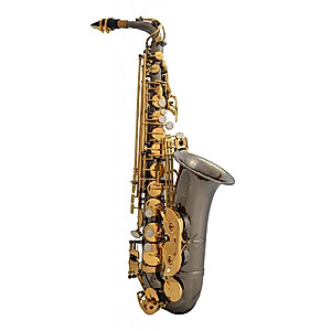 Professional Black Nickel Body Gold Keys E-flat Eb Alto Saxophone Sax with 11 Reeds, Case, Music Book, Mouthpiece and Many Extras, 360-BN