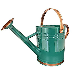 Metal Watering Can for Outdoor and Indoor Plants, Watering Can Decor, 1 Gallon (1 Gallon Green2)