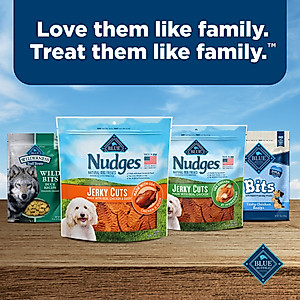 Blue Buffalo Nudges Jerky Cuts Dog Treats, Made in the USA with Natural Ingredients, Chicken & Duck, 10-oz. Bag