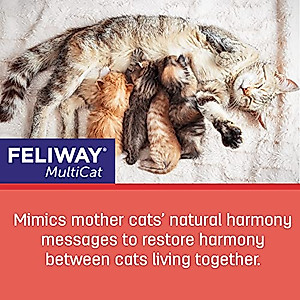 FELIWAY MultiCat Calming Pheromone, 30 Day Refill - 6 Pack