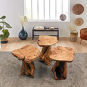 Warmaxx Natural Irregular Shape Tree Stump End Table Plant Stand, 14"x13"x18"H Solid Cedar Wood Outdoor Rustic Sit Foot Stools Live Edge Coffee Side Table for Living Room Bedroom Bath Outdoor Garden
